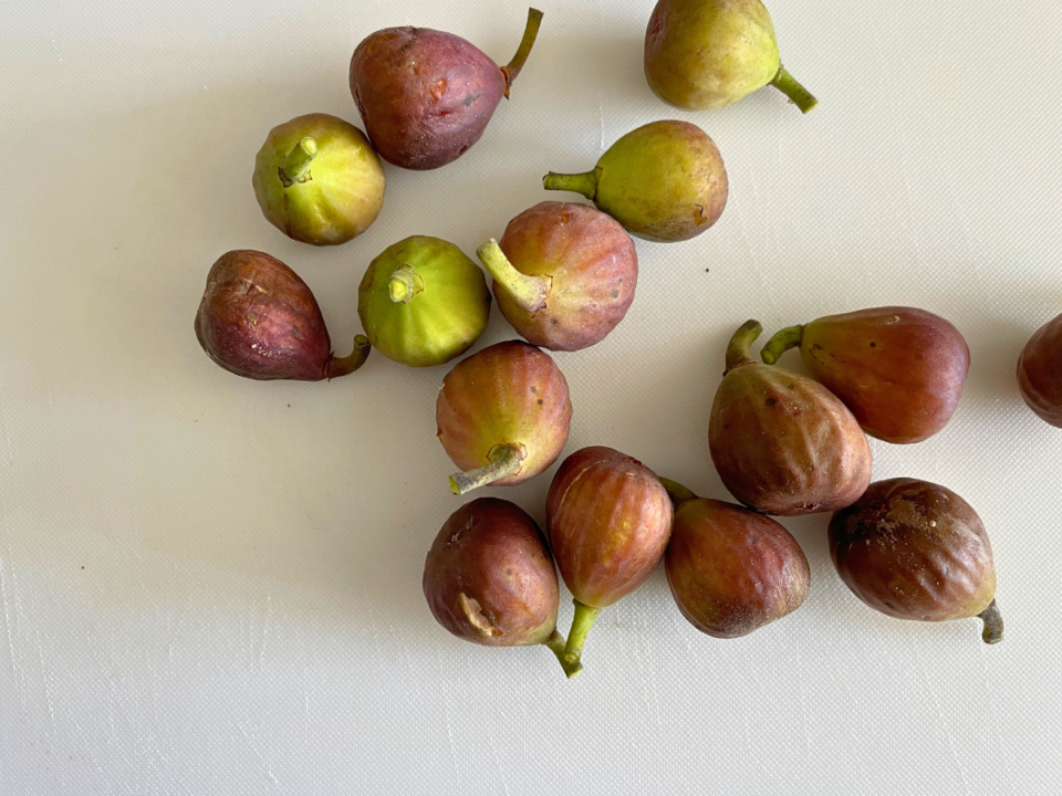 Step-By-Step Dehydrating Fresh Figs at Home (Easy How To) - Southern ...