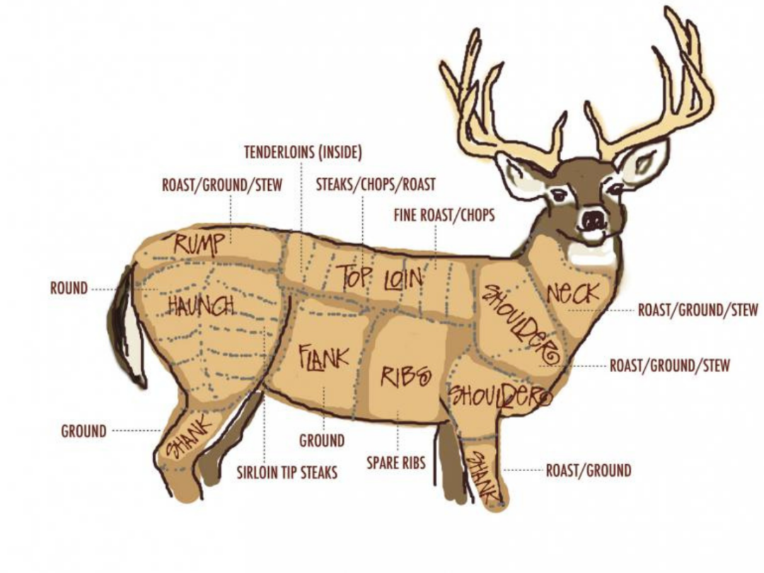 Super Easy Grilled Backstrap Venison (Deer Meat) - Southern Food Junkie