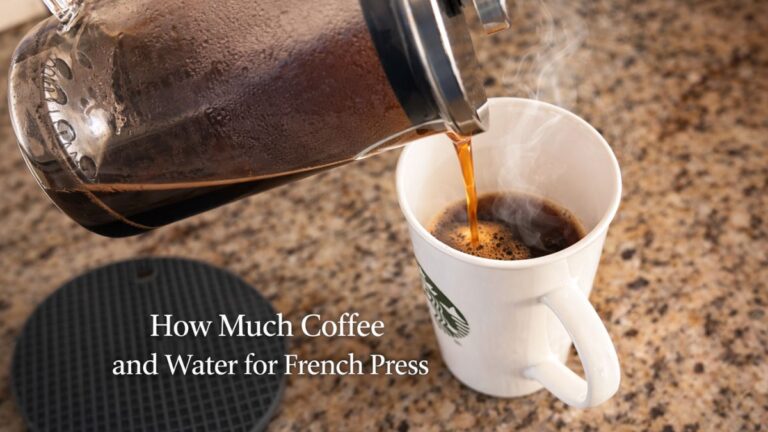 How Much Coffee and Water for French Press Coffee (Beginner-Friendly ...